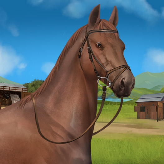 Dorothy, Tažný kůň Drum Horse Hnědák Tovero #36003300 - Howrse